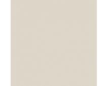 Chatroom SW6171 Paint by Sherwin-Williams - modlar.com