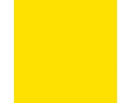 Cheerful SW6903 Paint by Sherwin-Williams - modlar.com