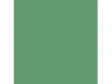 Cilantro SW6453 Paint by Sherwin-Williams - modlar.com