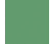 Cilantro SW6453 Paint by Sherwin-Williams - modlar.com