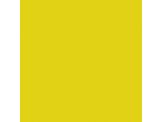 Citronella SW6915 Paint by Sherwin-Williams - modlar.com