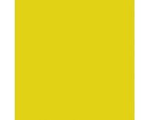 Citronella SW6915 Paint by Sherwin-Williams - modlar.com
