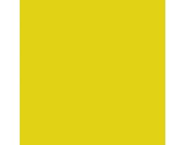Citronella SW6915 Paint by Sherwin-Williams - modlar.com