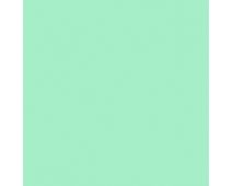 Clean Green SW6933 Paint by Sherwin-Williams - modlar.com