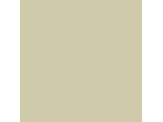 Colonial Revival Green Stone SW2826 Paint by Sherwin-Williams - modlar.com
