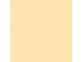 Colonial Yellow SW0030 Paint by Sherwin-Williams - modlar.com