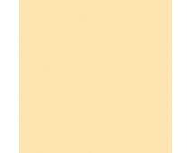 Colonial Yellow SW0030 Paint by Sherwin-Williams - modlar.com