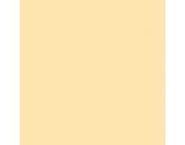 Colonial Yellow SW0030 Paint by Sherwin-Williams - modlar.com