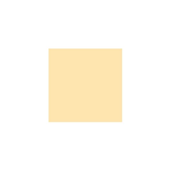 Colonial Yellow SW0030 Paint by Sherwin-Williams - modlar.com
