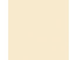 Convivial Yellow SW6393 Paint by Sherwin-Williams - modlar.com