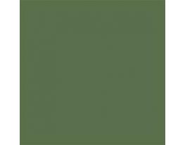 Courtyard SW6440 Paint by Sherwin-Williams - modlar.com