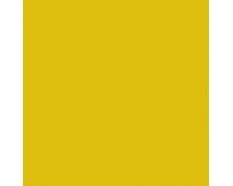 Crispy Gold SW6699 Paint by Sherwin-Williams - modlar.com