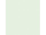 Cucumber SW6722 Paint by Sherwin-Williams - modlar.com