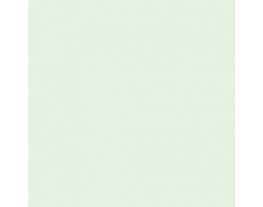 Cucumber SW6722 Paint by Sherwin-Williams - modlar.com