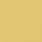 Different Gold SW6396 Paint by Sherwin-Williams - modlar.com