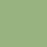 Dill SW6438 Paint by Sherwin-Williams - modlar.com