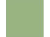 Dill SW6438 Paint by Sherwin-Williams - modlar.com