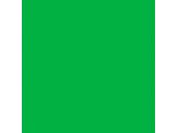 Direct Green SW6924 Paint by Sherwin-Williams - modlar.com