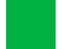 Direct Green SW6924 Paint by Sherwin-Williams - modlar.com