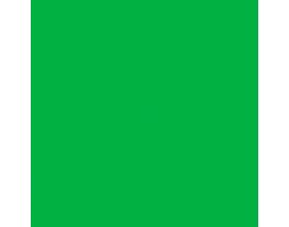 Direct Green SW6924 Paint by Sherwin-Williams - modlar.com