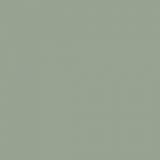 Dried Thyme SW6186 Paint by Sherwin-Williams - modlar.com