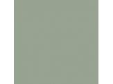 Dried Thyme SW6186 Paint by Sherwin-Williams - modlar.com