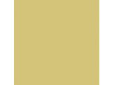 Edgy Gold SW6409 Paint by Sherwin-Williams - modlar.com