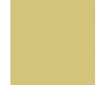 Edgy Gold SW6409 Paint by Sherwin-Williams - modlar.com