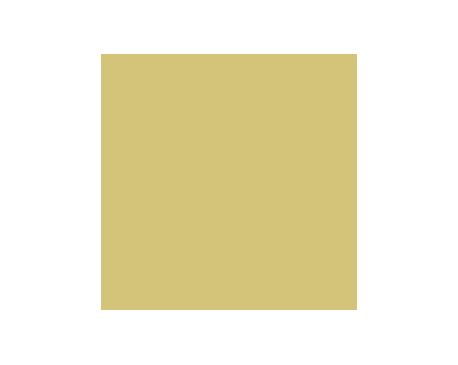 Edgy Gold SW6409 Paint by Sherwin-Williams - modlar.com