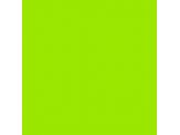 Electric Lime SW6921 Paint by Sherwin-Williams - modlar.com
