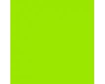 Electric Lime SW6921 Paint by Sherwin-Williams - modlar.com