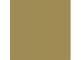 Eminent Bronze SW6412 Paint by Sherwin-Williams - modlar.com