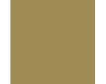 Eminent Bronze SW6412 Paint by Sherwin-Williams - modlar.com