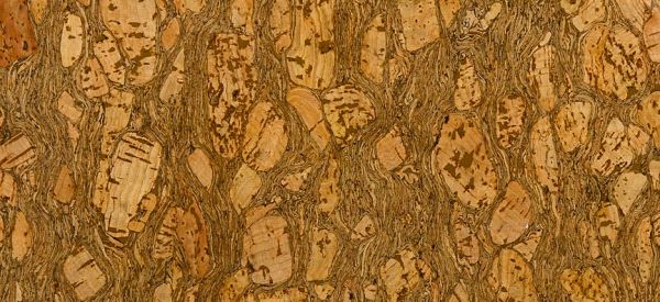 Cork Cork - modlar.com