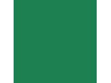 Espalier SW6734 Paint by Sherwin-Williams - modlar.com