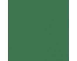 Evergreens SW6447 Paint by Sherwin-Williams - modlar.com