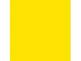 Forsythia SW6907 Paint by Sherwin-Williams - modlar.com