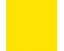 Forsythia SW6907 Paint by Sherwin-Williams - modlar.com