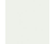 Frostwork SW0059 Paint by Sherwin-Williams - modlar.com