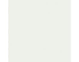 Frostwork SW0059 Paint by Sherwin-Williams - modlar.com