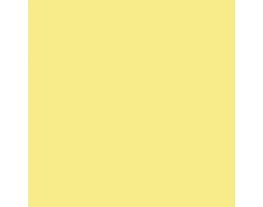 Funky Yellow SW6913 Paint by Sherwin-Williams - modlar.com