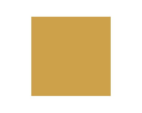 Gallant Gold SW6391 Paint by Sherwin-Williams - modlar.com
