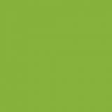 Gecko SW6719 Paint by Sherwin-Williams - modlar.com