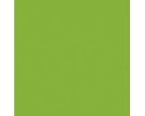 Gecko SW6719 Paint by Sherwin-Williams - modlar.com