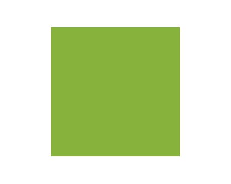 Gecko SW6719 Paint by Sherwin-Williams - modlar.com