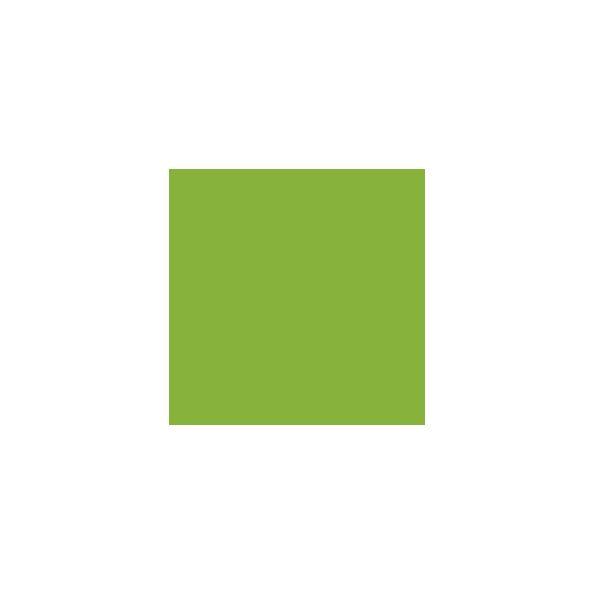 Gecko SW6719 Paint by Sherwin-Williams - modlar.com