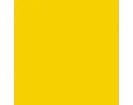 Goldfinch SW6905 Paint by Sherwin-Williams - modlar.com