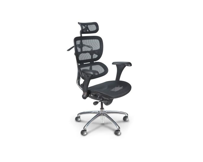 Butterfly Ergonomic Executive Office Chair - modlar.com
