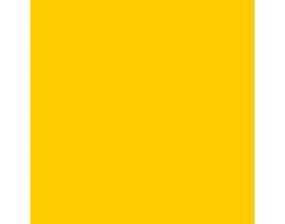 Gusto Gold SW6904 Paint by Sherwin-Williams - modlar.com