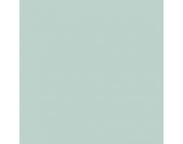 Halcyon Green SW6213 Paint by Sherwin-Williams - modlar.com